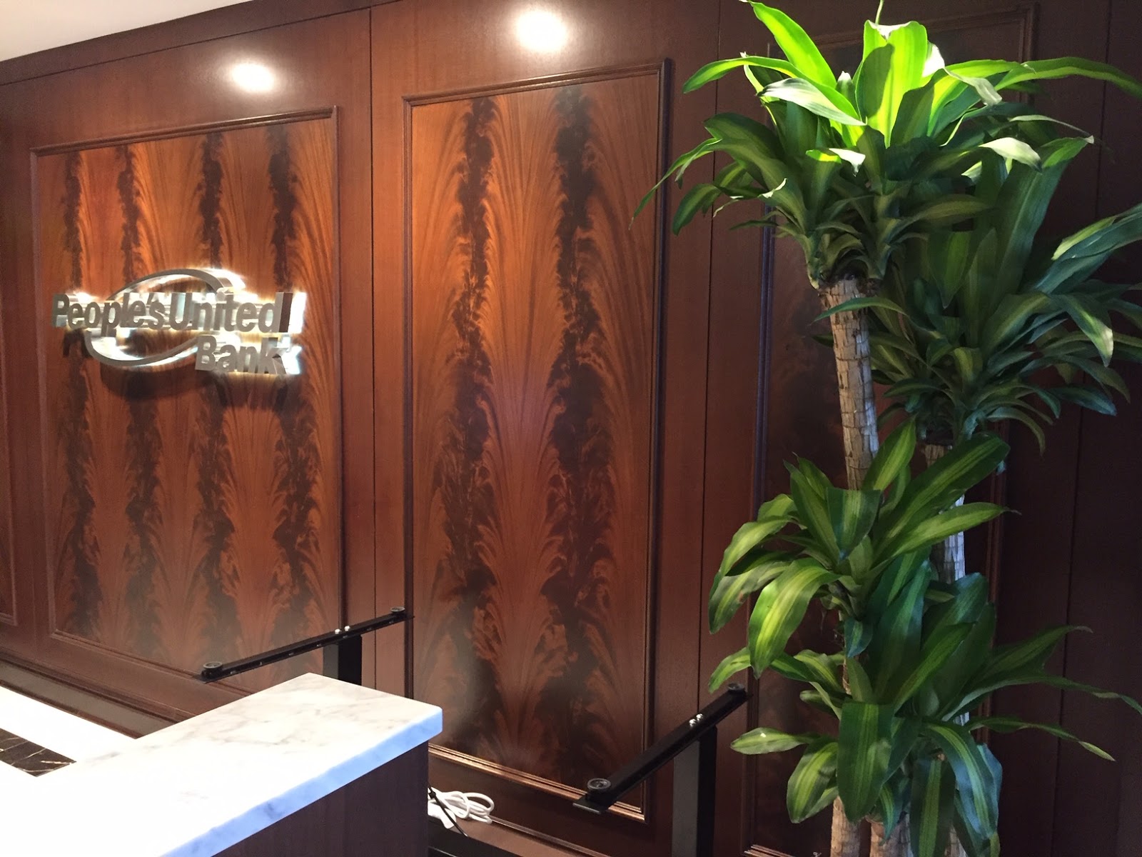 Indoor Office Plants Boston, MA Corporate Banks Design With Plantscape ...
