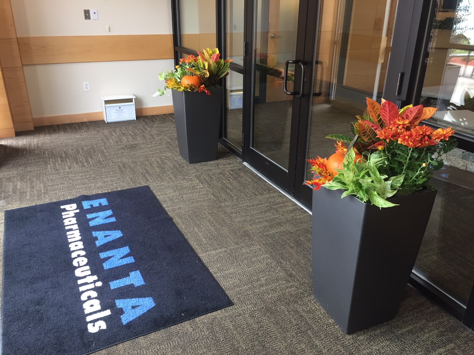 Autumn Indoor Office Lobby Arrangements Danvers, MA - Plantscape ...