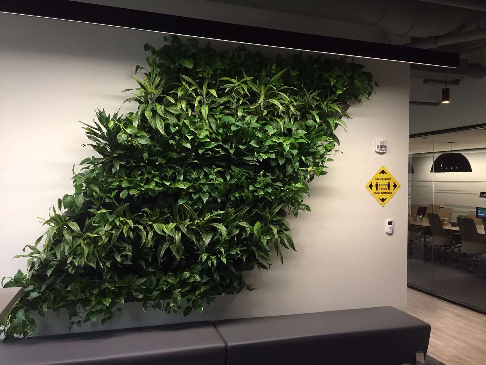 Boston, Massachusetts Living and Faux Walls for Your Corporate ...