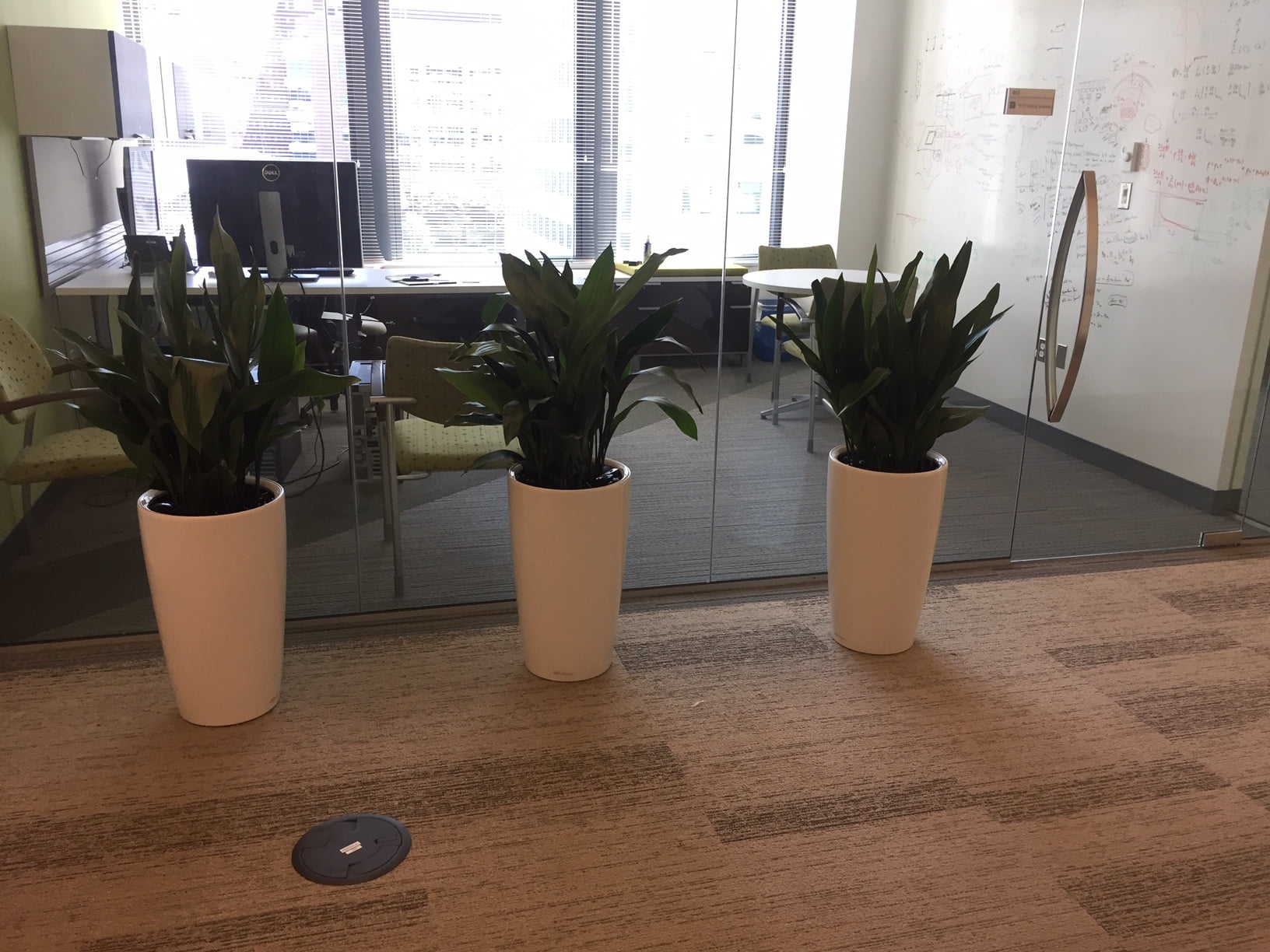 Lexington, MA Lobby Interior Office Plants Design by Plantscape Designs ...
