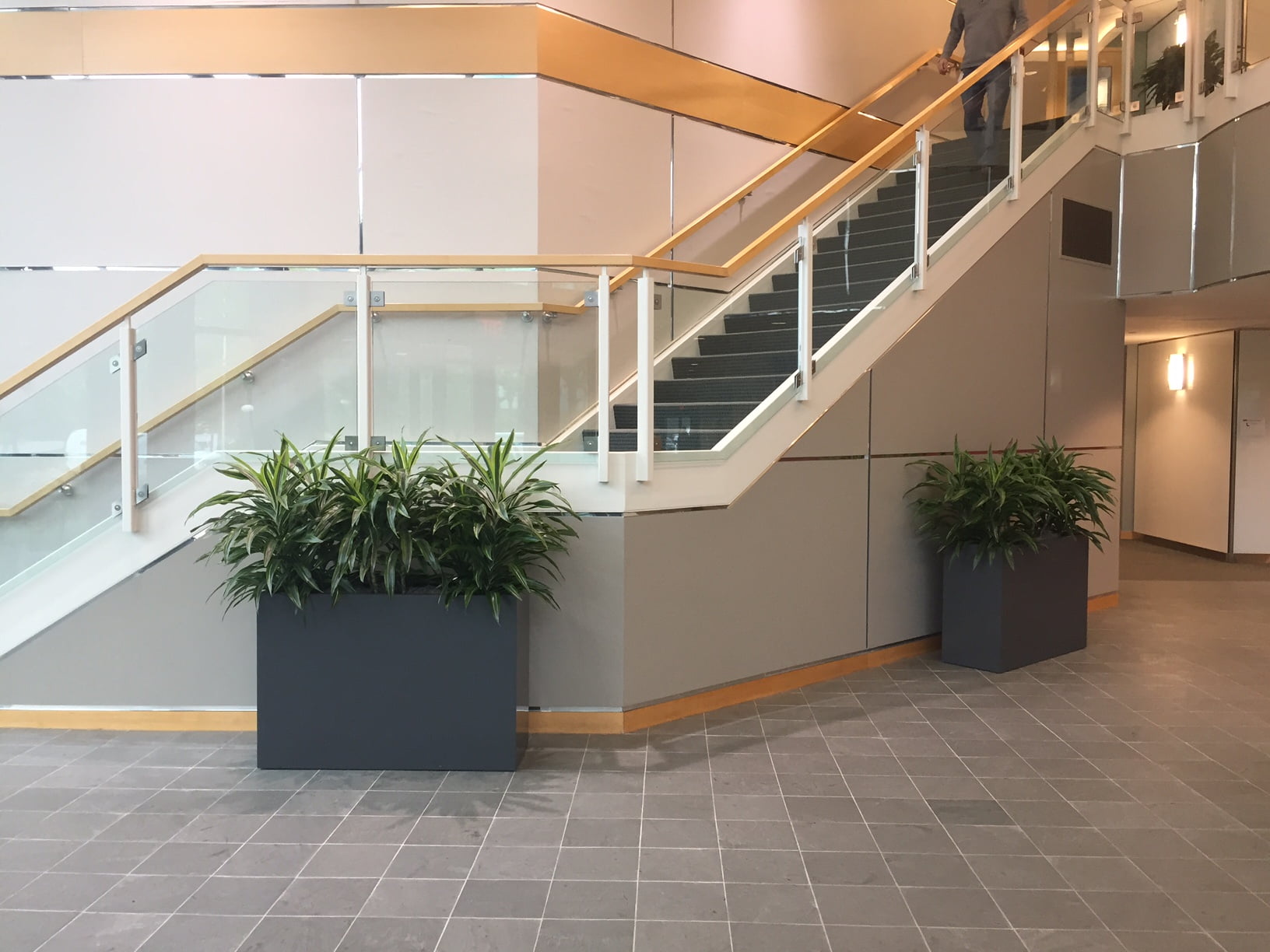 How to Design with Pothos, an Indoor Office Plant Wilmington ...