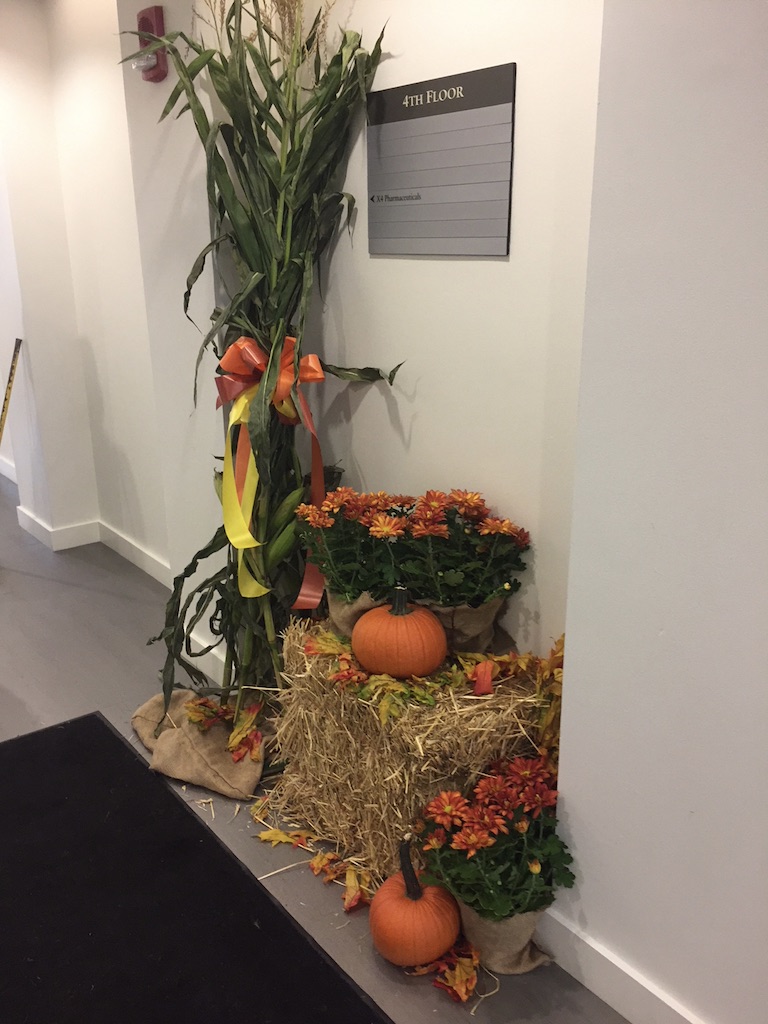 Plantscape Designs Designs/Installs Fall/Autumn Scenes In Waltham ...